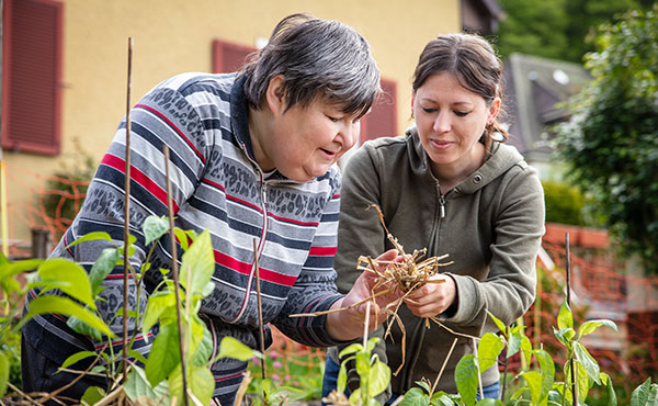 AAH (allocation aux adultes handicapés) : définition